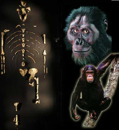 Lüsi - Paleontologiya.az